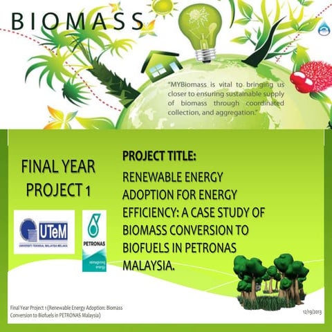 Final Year Project: Renewable Energy Adoption as Energy Efficiency: A ...
