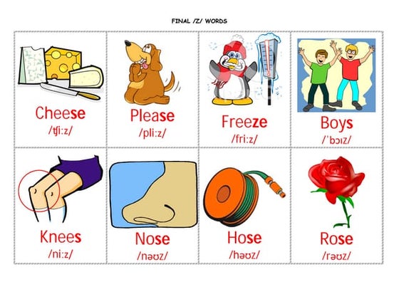 Medial s flashcards | PPT