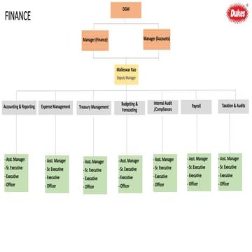 FINANCE ACCOUNTS ORGANOGRAM (002) (002).pptx