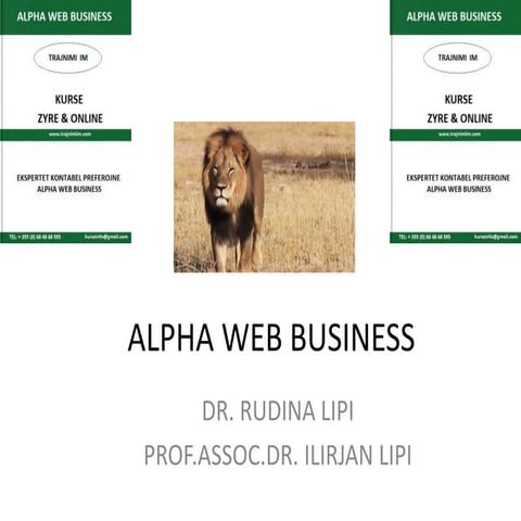 Manual trajnimi ALPHA WEB BUSINESS | PDF