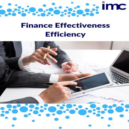 Finance Effectiveness Efficiency | PDF