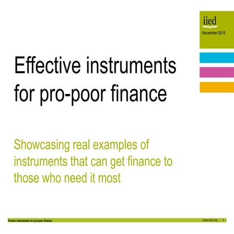 Effective instruments for pro-poor finance | PPTX