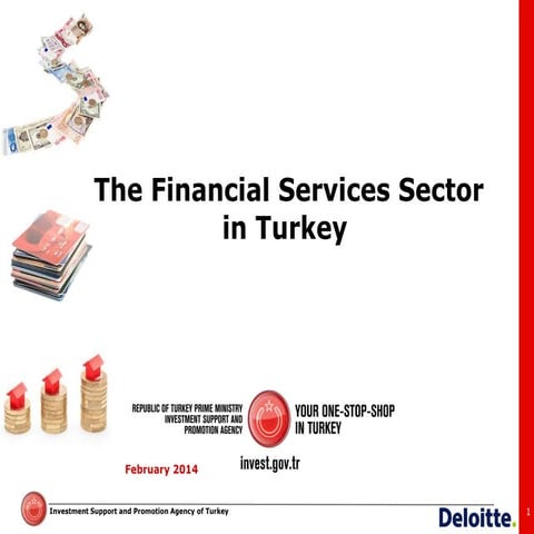 Financial.services.industry in turkey | PDF