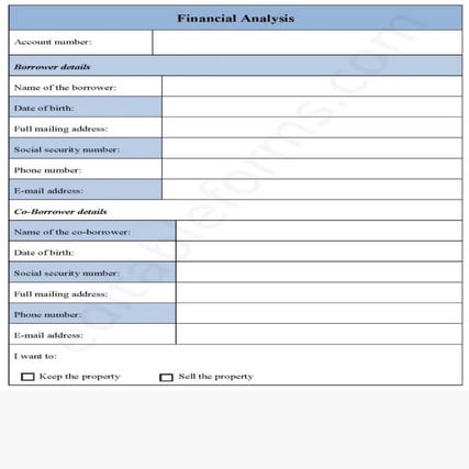 Financial Analysis Fillable PDF Template | PDF