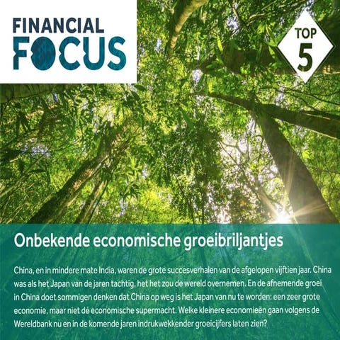 Economische aspecten van Brazilie | PPTX
