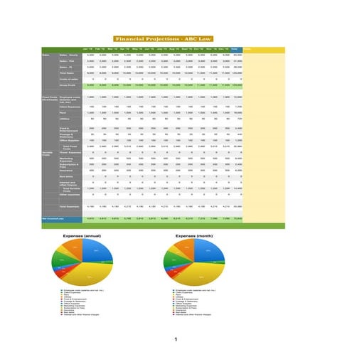Financial projection example | PDF