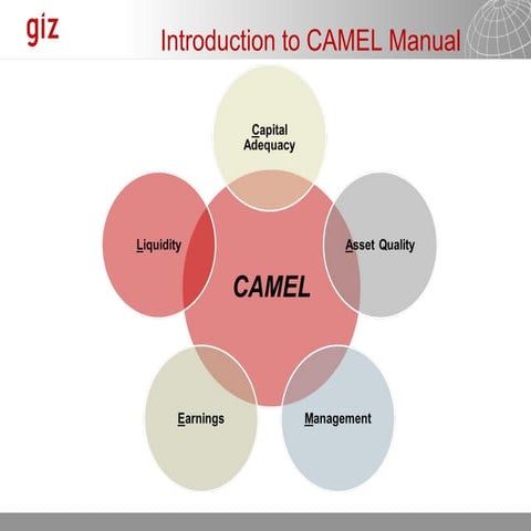 Financial Ratios and CAMEL Presentation.ppt