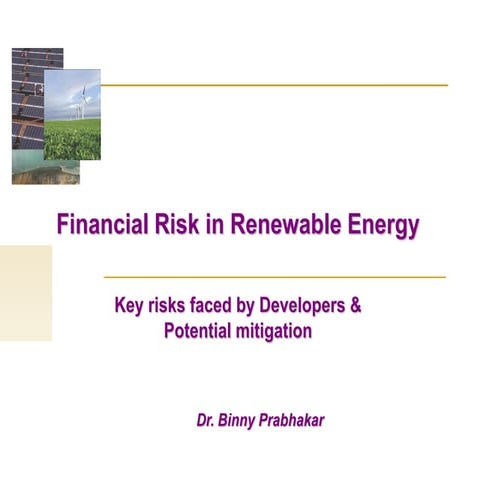 Financial Risk In Renewable Energy | PDF