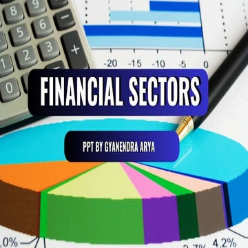 Financial Sectors and their negative and positive sides | PDF