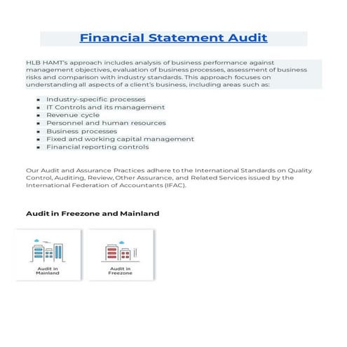 Financial statement audit | PDF