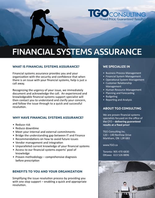 Financial Systems Quality Assessment Sell Sheet | PDF