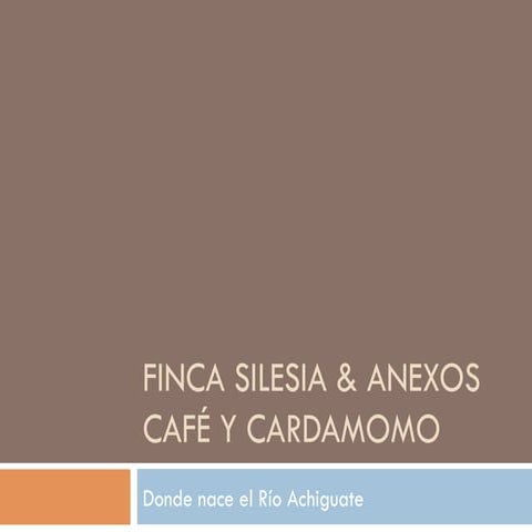 Finca de Cafe y Cardamomo - Escuintla | PDF