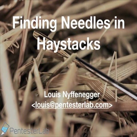 Finding Needles In Haystacks Ppt 