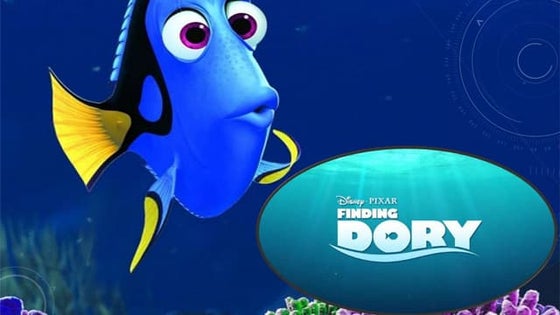 What is a topic sentence | PPT | Medical Health