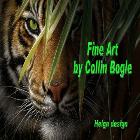 Fine Art By Collin Bogle | PPS