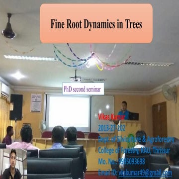 Fine roots dynamics in trees | PPT