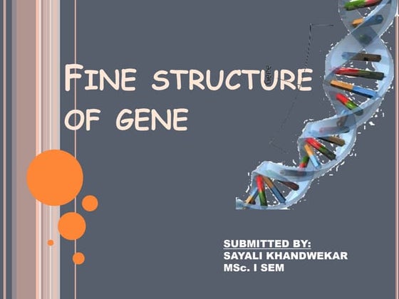 Gene structure | PPT