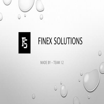 FINEX SOLUTIONS.pptx