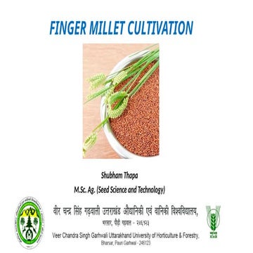 Finger Millet (Eleusine coracana) Cultivation Practices | PPTX