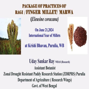 FINGER MILLET CULTIVATION PACKAGE IN PURULIA.pptx