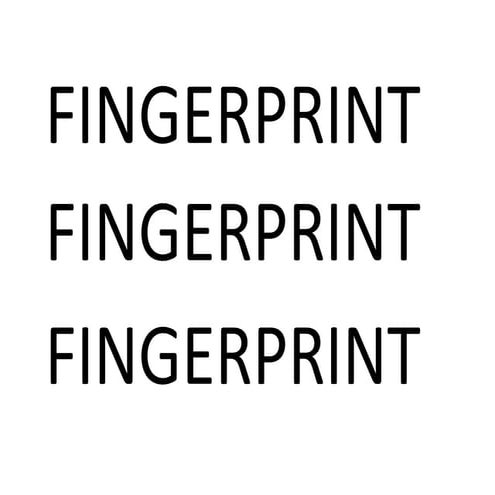 FINGERPRINT FINGERPRINT.docx
