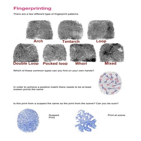 Fingerprinting | PDF