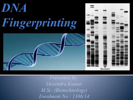 Dna finger printing | PPTX