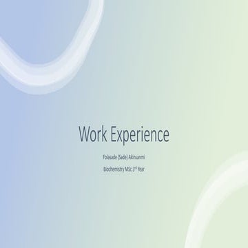 Work experience psp3 for the e-portfolio | PPTX