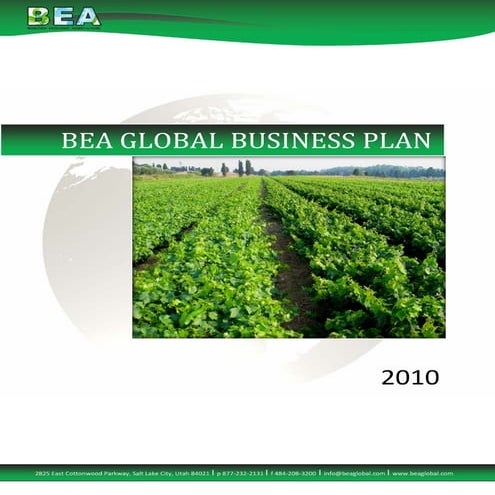 BEA Business Plan | PDF