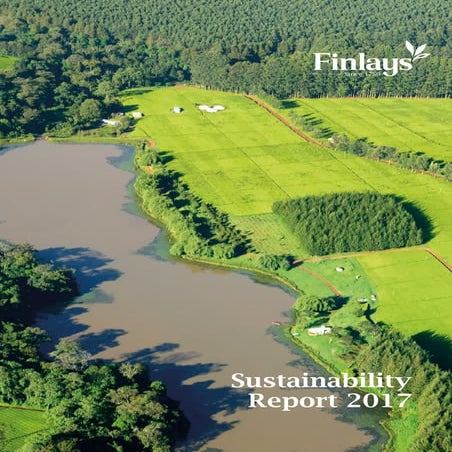 Finlays sustainability report 2017 | PDF