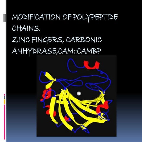 Modification about polypeptide chain- post translation | PPTX