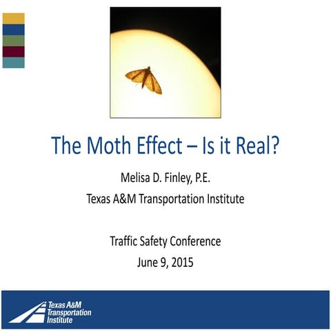 The Moth Effect – Is It Real? | PPT