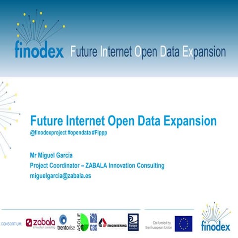 FINODEX summary | PDF