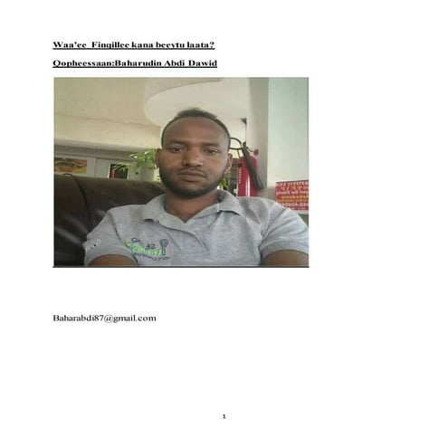 Finqillee fi goguu bishaan haramaya fi xinniqqee (baharudin abdi) | PDF