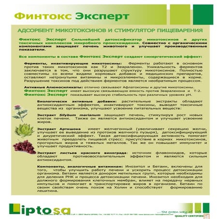 Fintox | PDF | Free Download