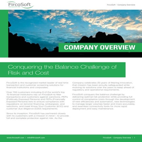 FircoSoft Company Overview | PDF