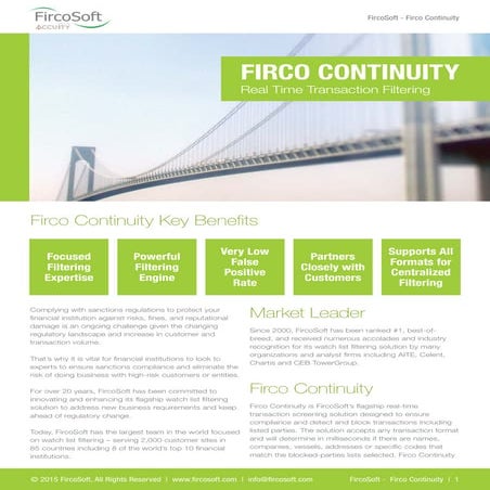 FircoSoft Company Overview | PDF