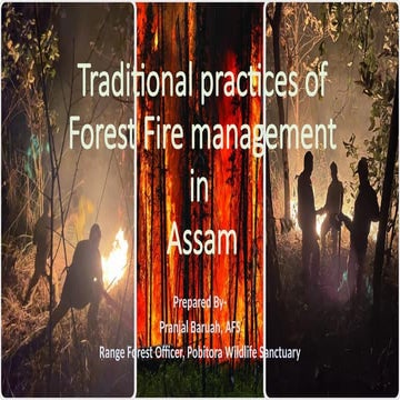 Traditional Practice of forest fire management in Assam | PPTX