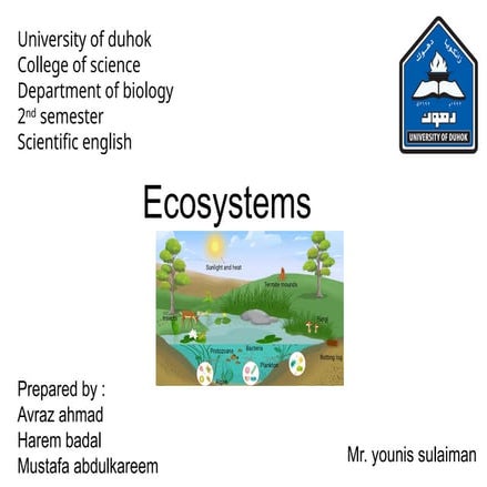 Comprehensive Overview of Plant Cell Nucleus and Cytoplasmic Organelles ...