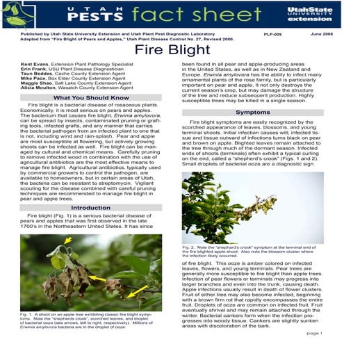 Utah Pests Fact Sheet- Fire Blight | PDF