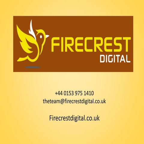 Firecrest Digital Brand Establisher PowerPoint | PPTX