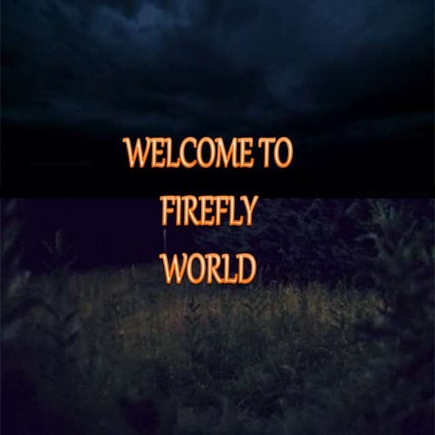 flashing signal evolution, mating choice and predation in firefly | PPSX