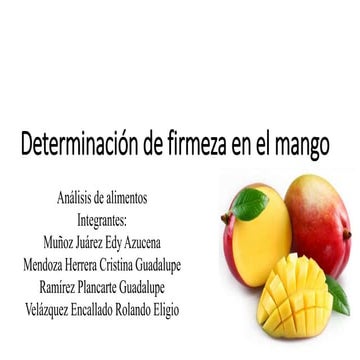 Determinación de firmeza en el mango | PPTX