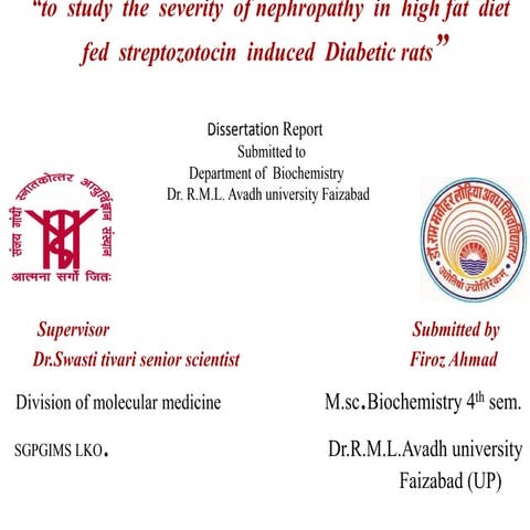 Firoz ahmad m.sc.bio chemistry ppt daibetic nephropathy copy | PPTX