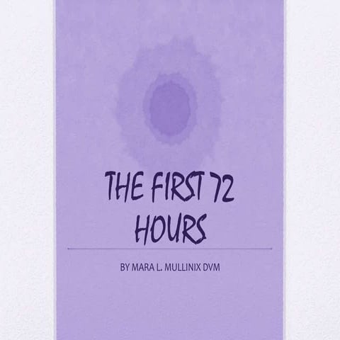 First 72 Hours | PPT