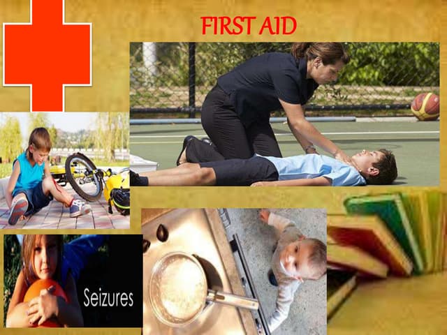 First Aid And Bandaging Pdf