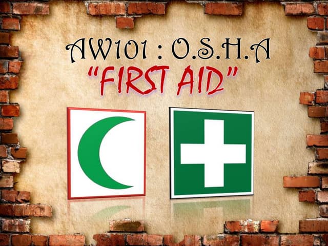 Pertolongan Cemas (First Aid) | PDF