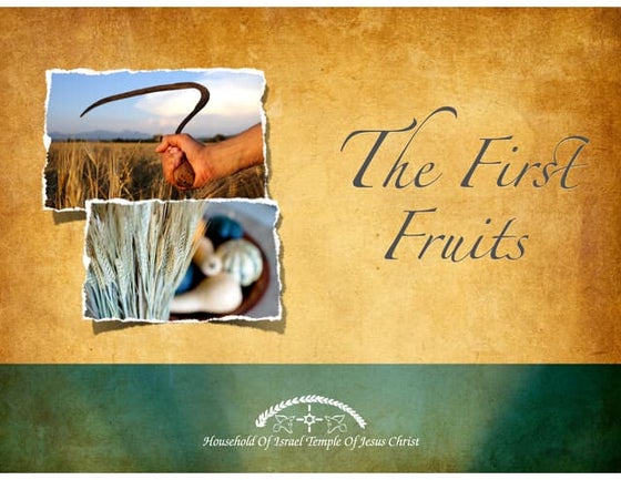 First fruits 2 | PPT