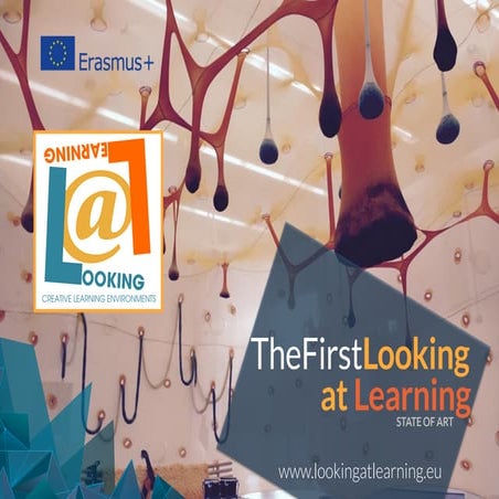 First looking at learning | PPT