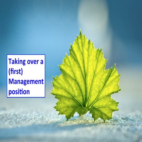 Taking over a (first) management position | PDF